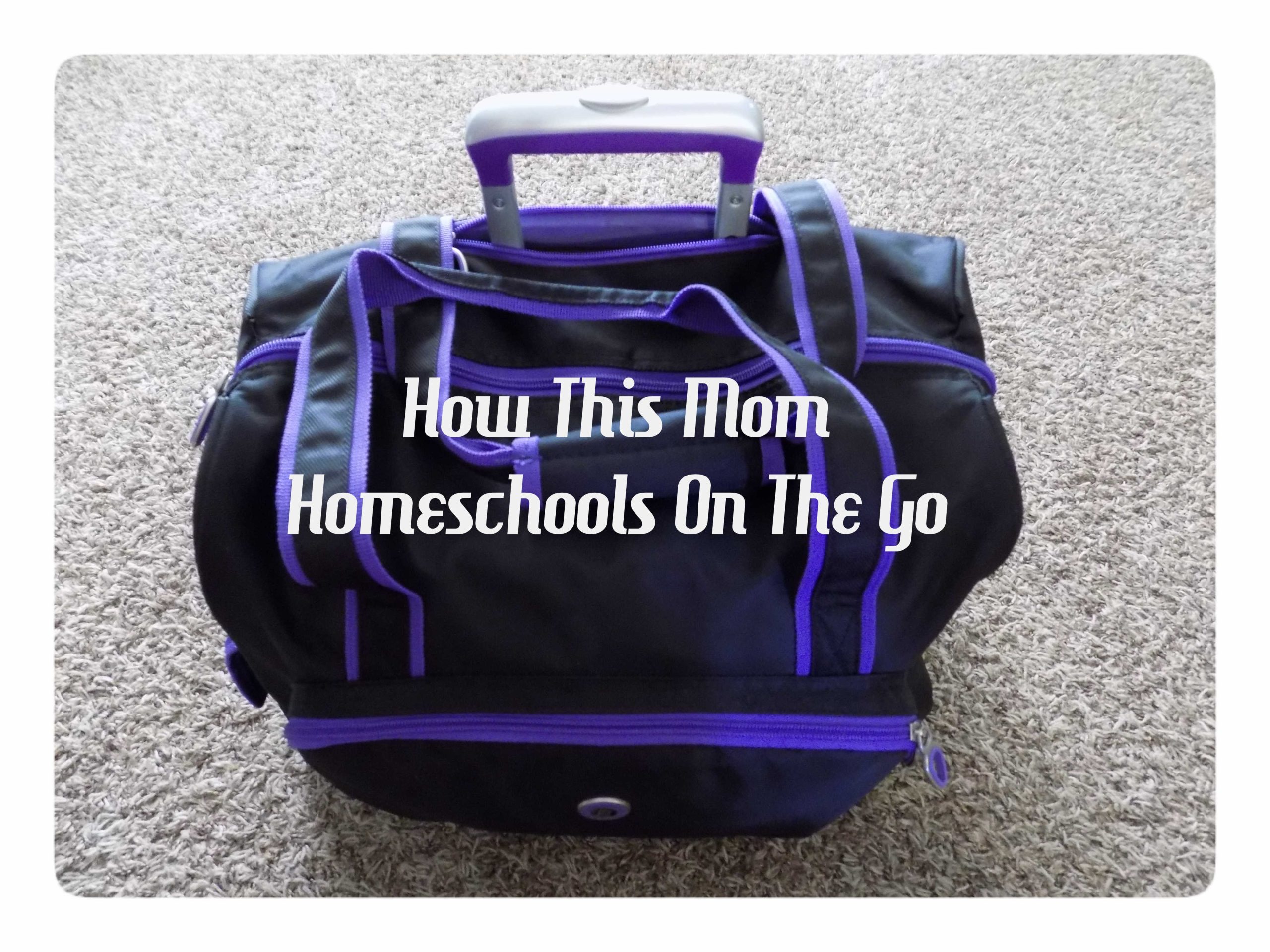 Homeschooling-On-The-Go - Home School Facts