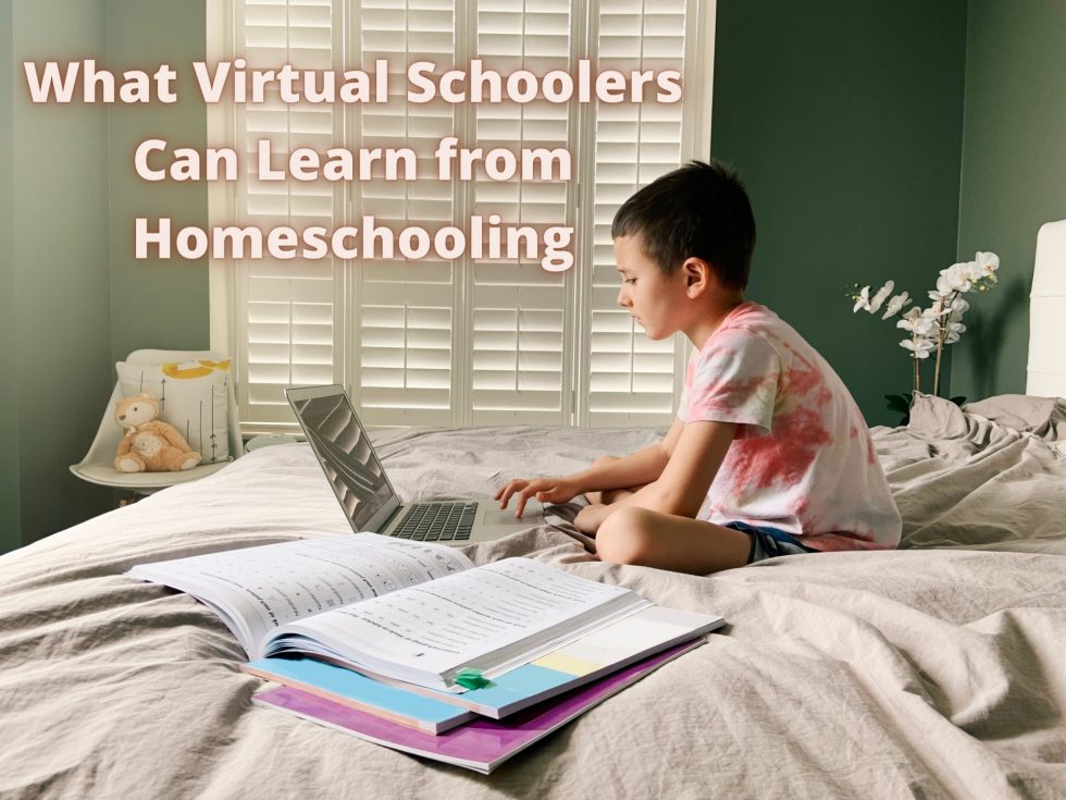 What Virtual Schoolers Can Learn from Homeschooling - Home School Facts