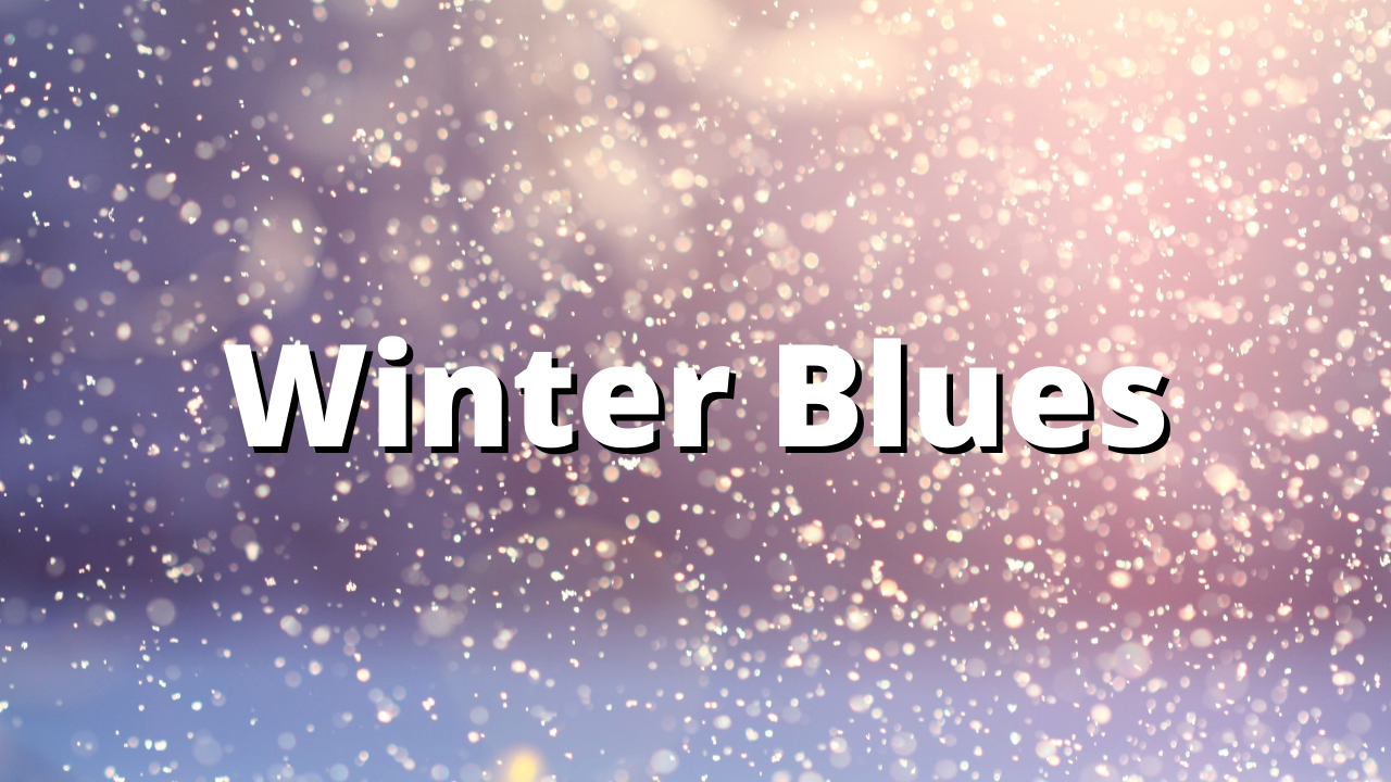 Winter Blues - Home School Facts