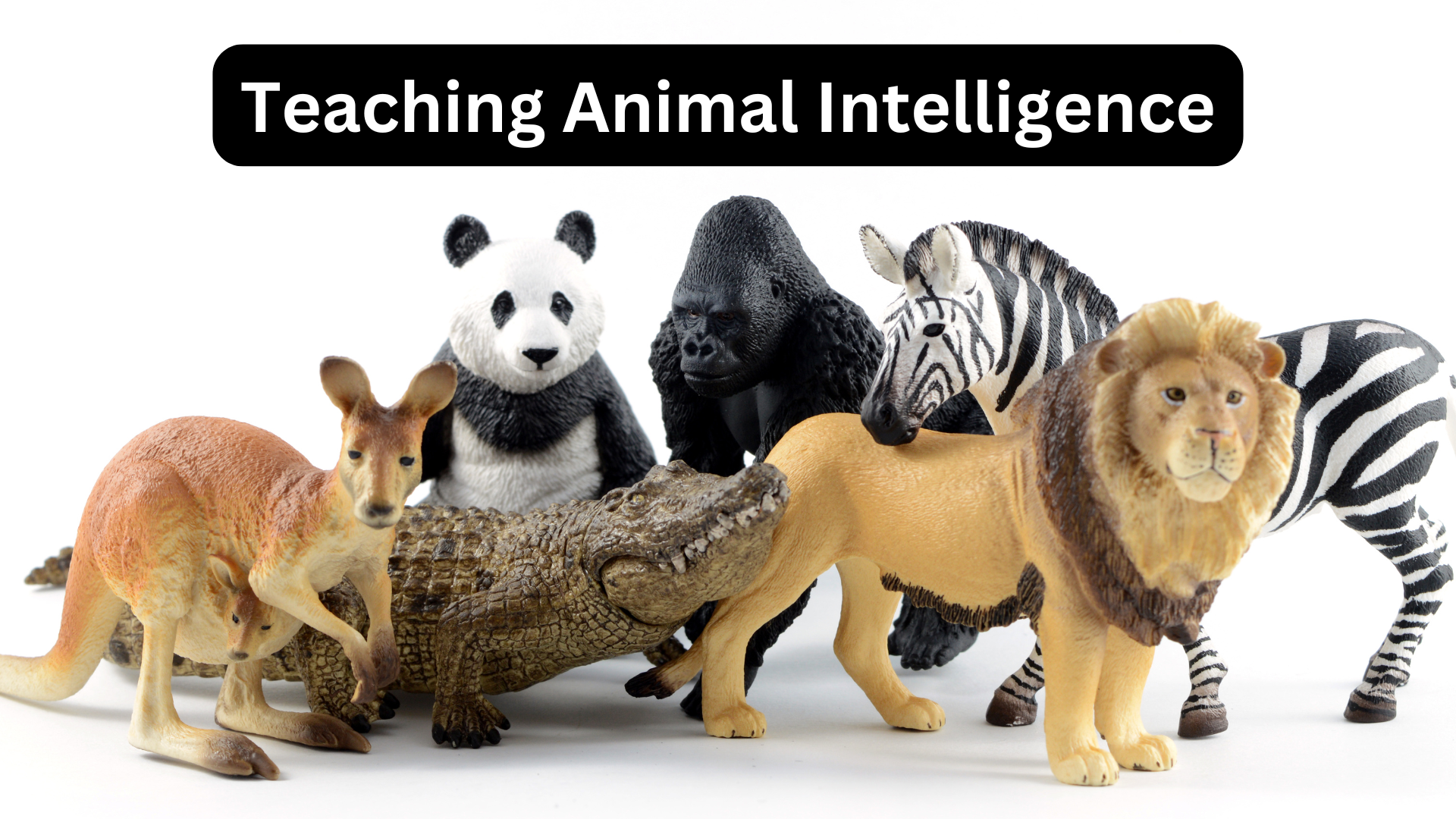 Teaching Animal Intelligence - Home School Facts