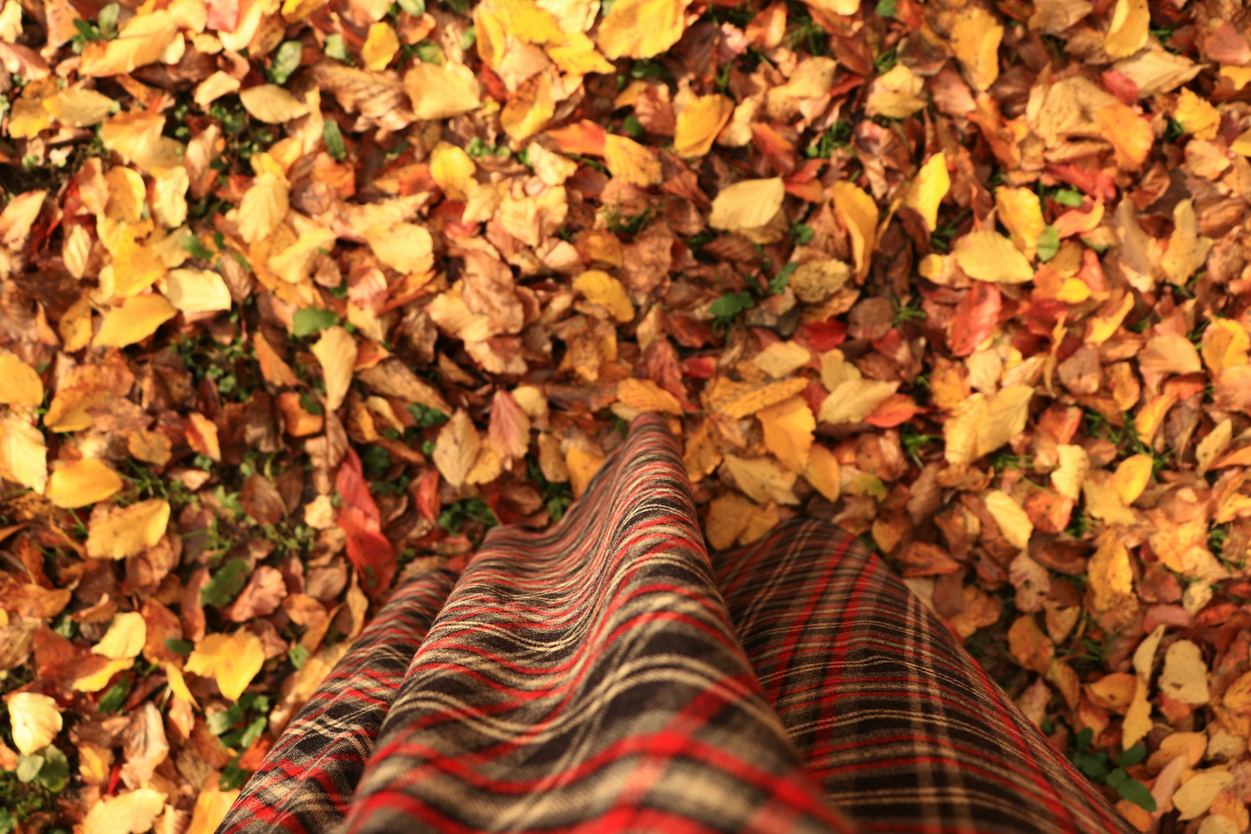 Homeschooling in the Fall: Routines, Resources, and Cozy Learning ...