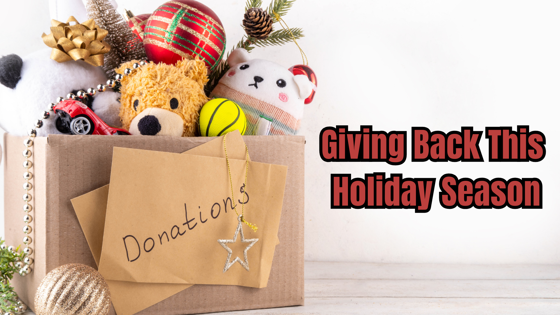 Giving Back This Holiday Season - Home School Facts